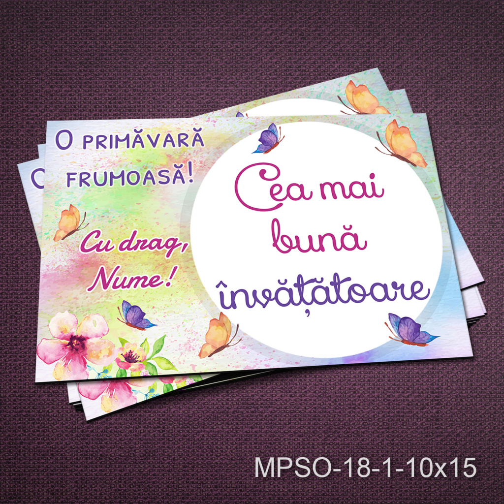 Felicitare magnetica - cea mai buna invatatoare - MPSO-18-1-10x15 ...